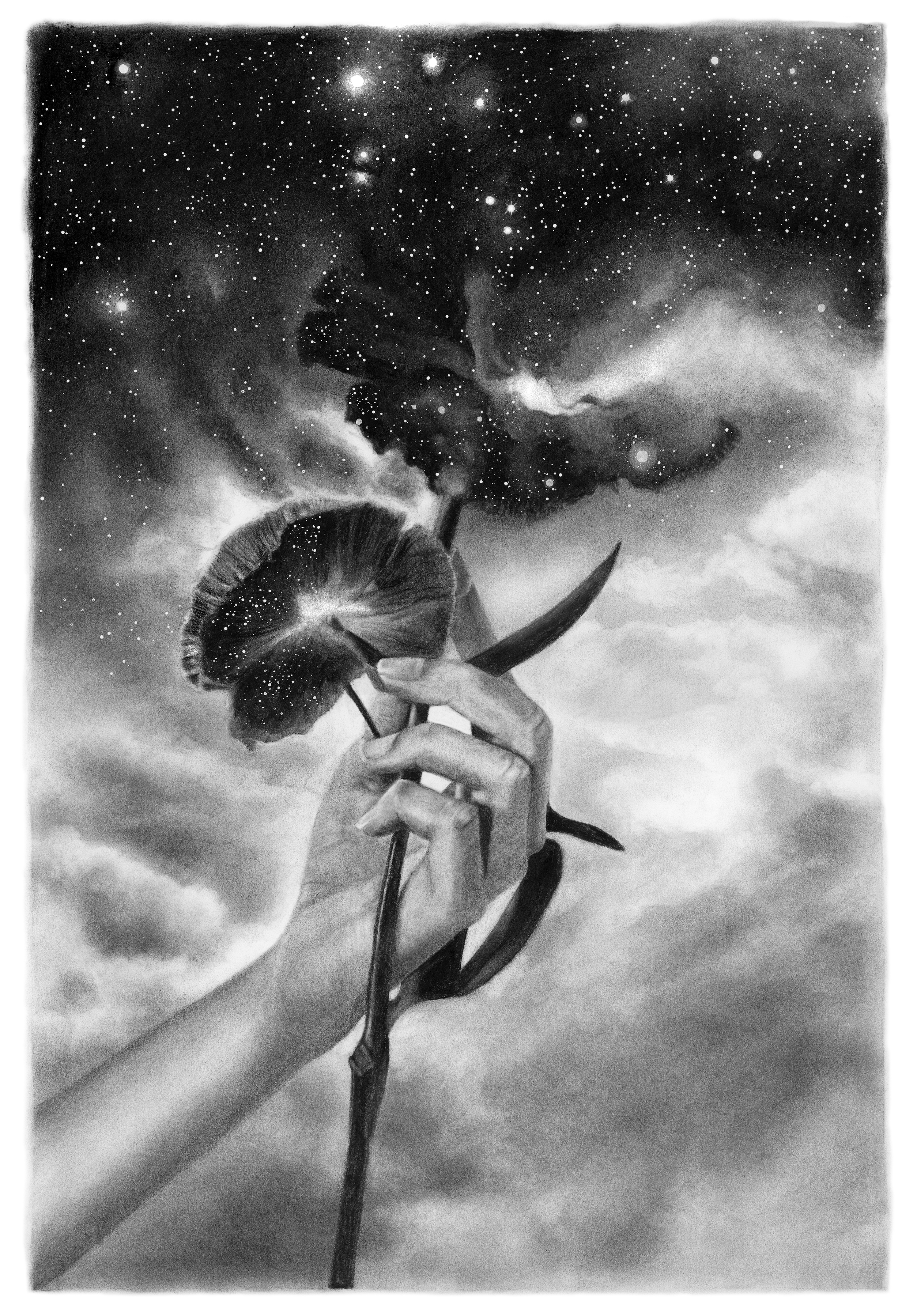 Deanne Cheuk, Art Director & Artist, represented by Hugo & Marie | Hugo ...